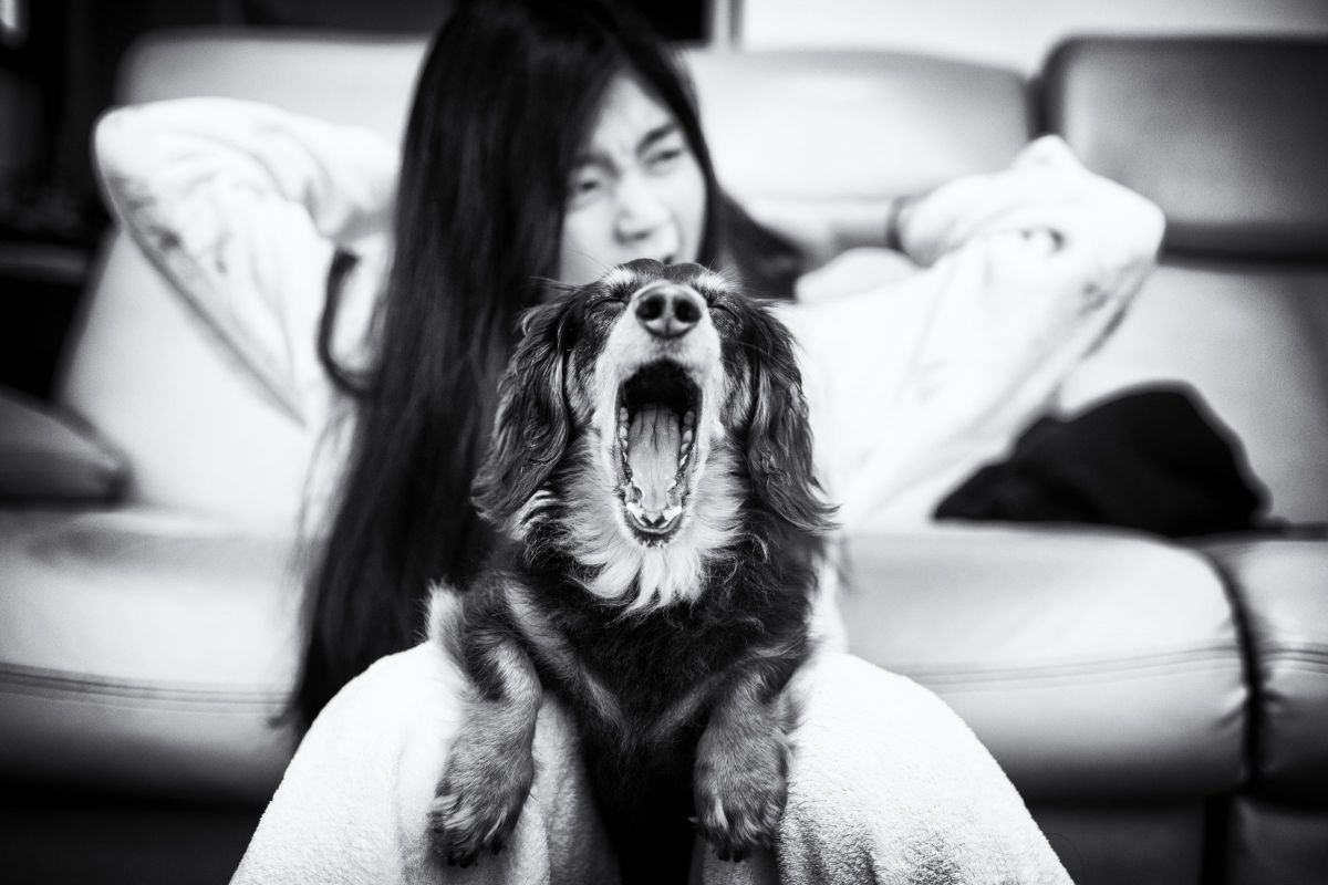 Synchronized | GANREF