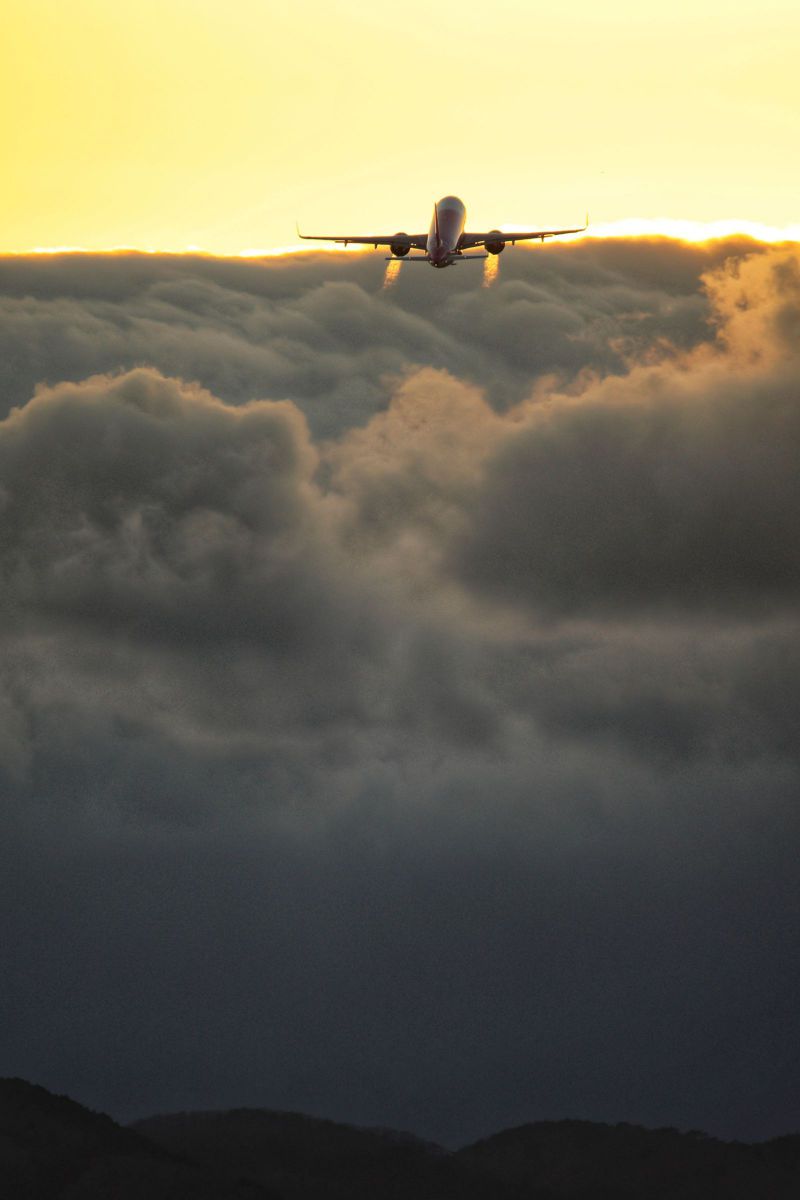 EOS R3レビューその③ ～撮像素子について～ | GANREF