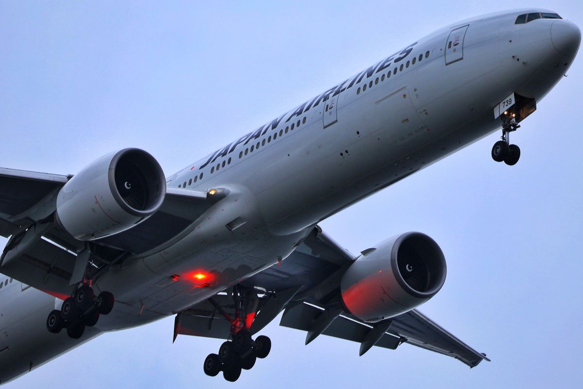 EOS R8 レビュー 〜メリットとデメリットについて〜 | GANREF