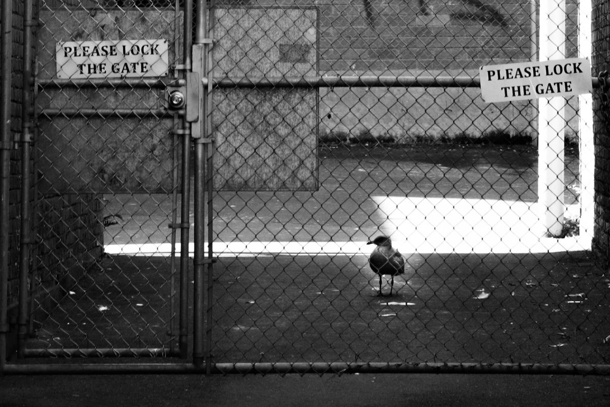 LOCk THE GATE | GANREF