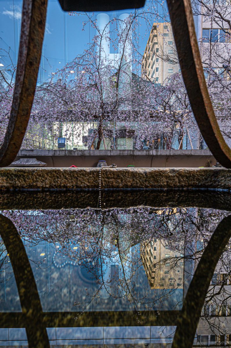 Spring reflection | GANREF