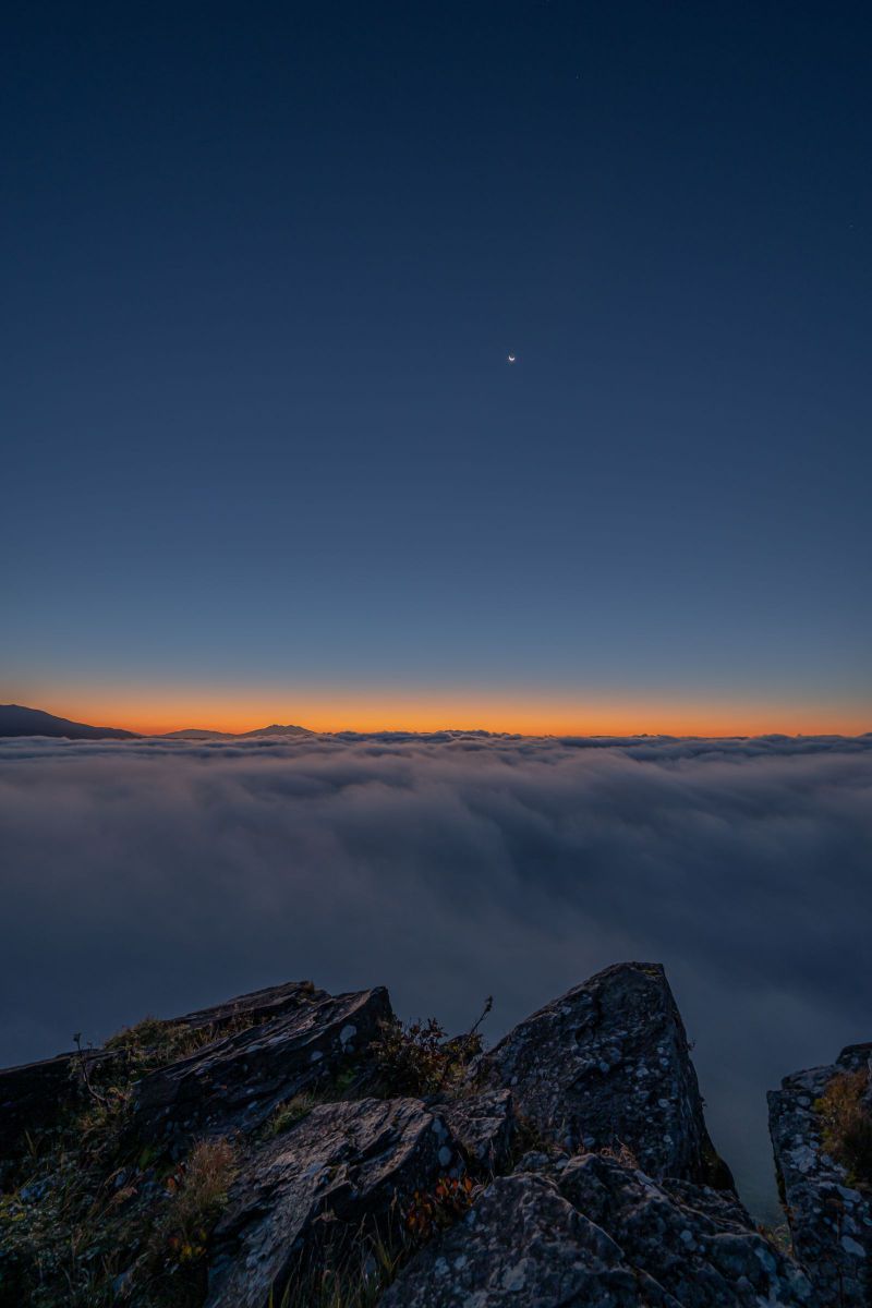 orange line | GANREF