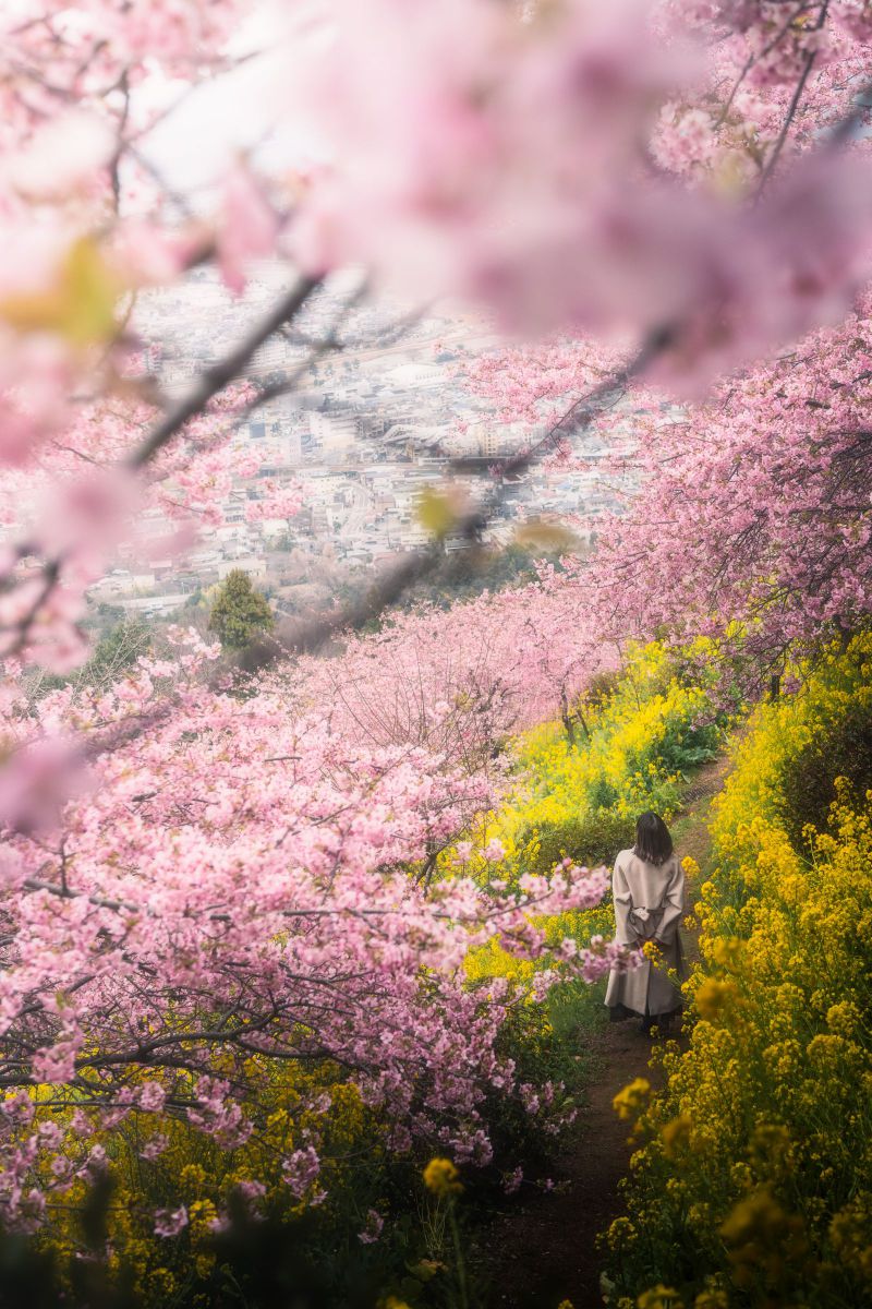 DO01001219.jpeg | GANREF