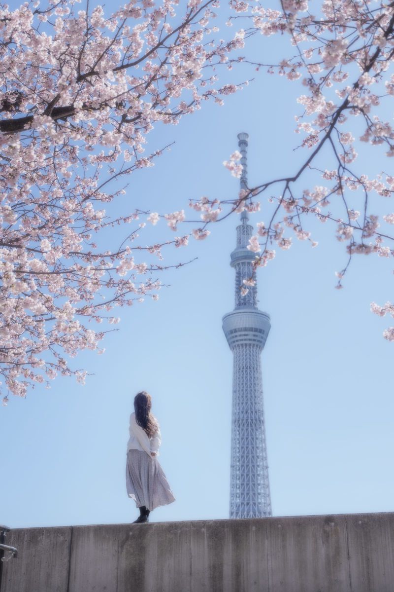 DSC00958.jpeg | GANREF