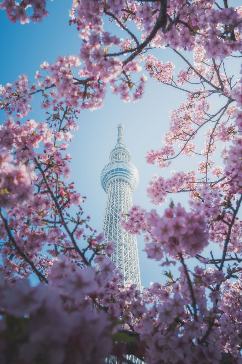 L1001459.jpeg | GANREF