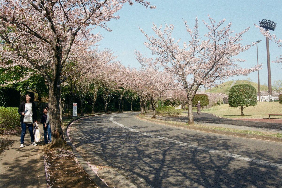 記憶の風景 リバーサルフィルム版42 | GANREF