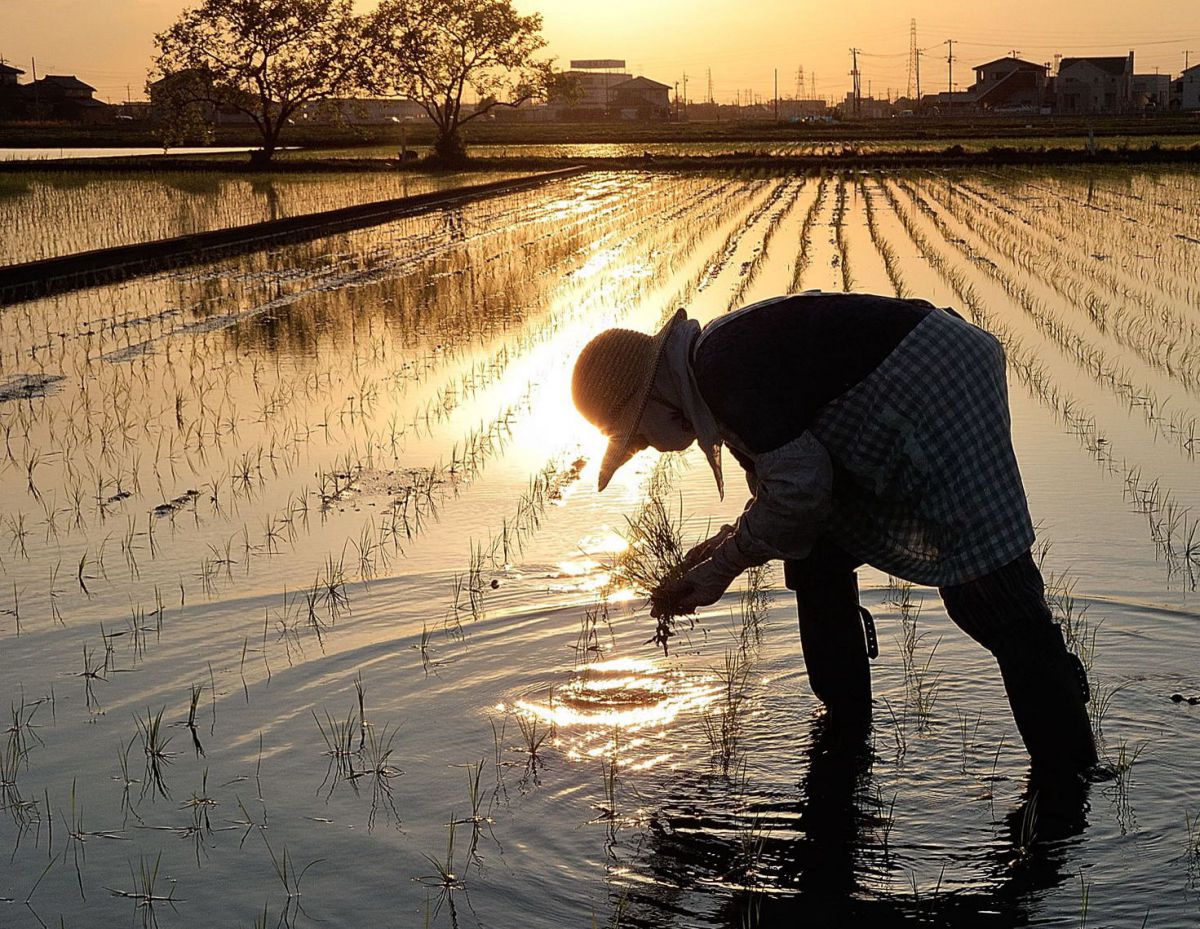 記憶の風景59 | GANREF