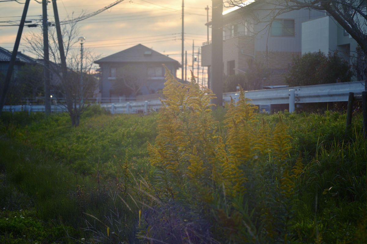 記憶の風景 (again) デジタル版34 | GANREF