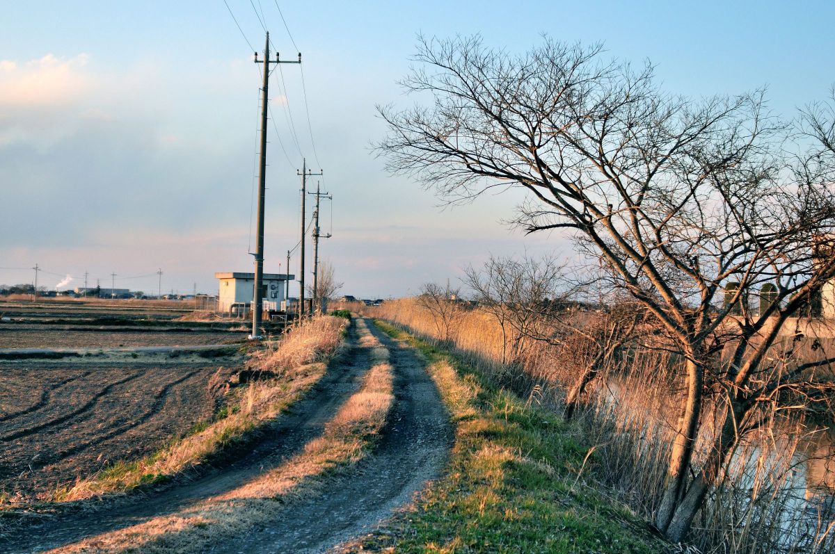 記憶の風景デジタル版160 | GANREF