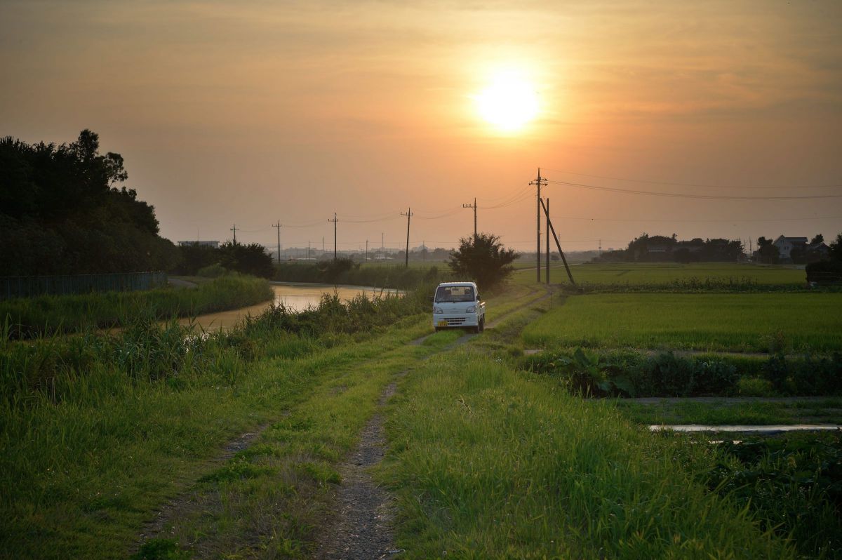 記憶の風景101 | GANREF