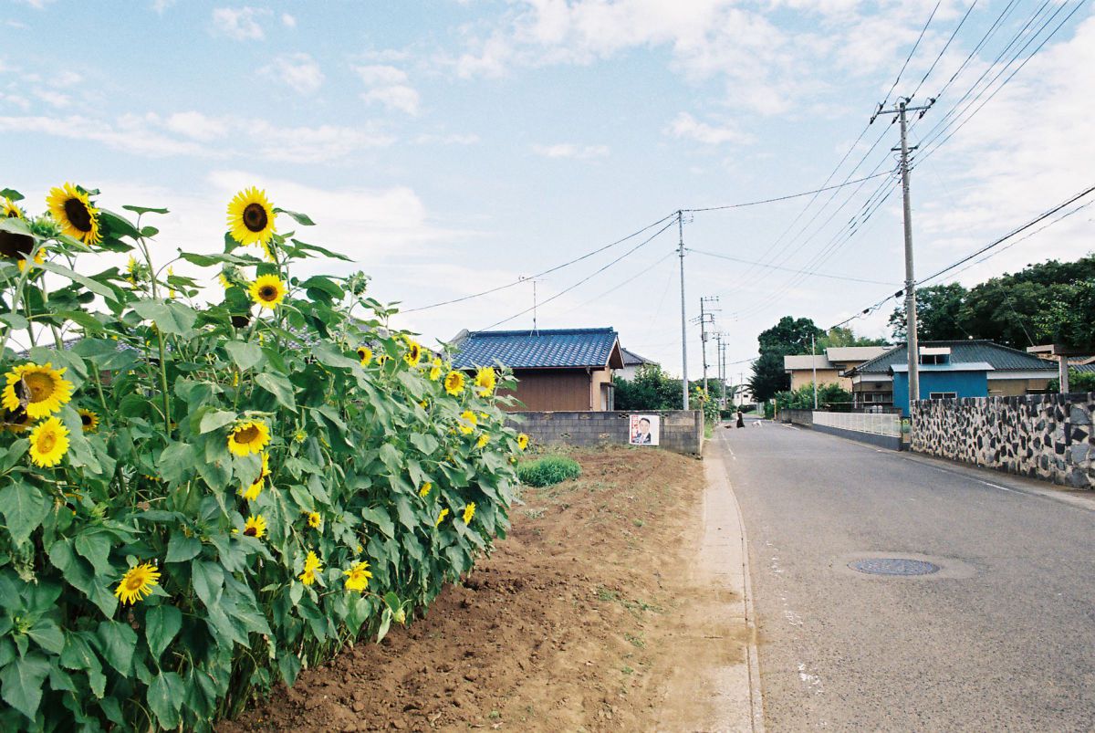 記憶の風景 (again) カラーネガフィルム版37 | GANREF
