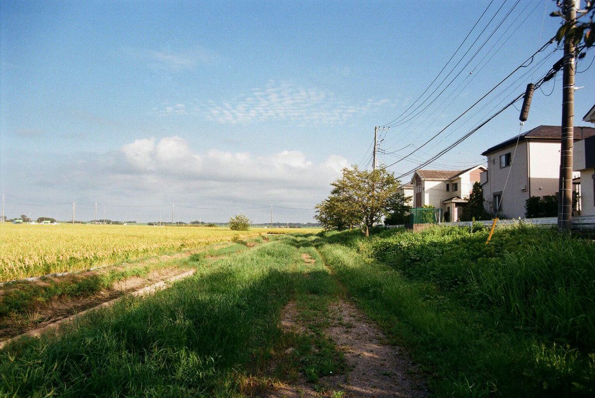 記憶の風景 カラーネガフィルム版206 | GANREF