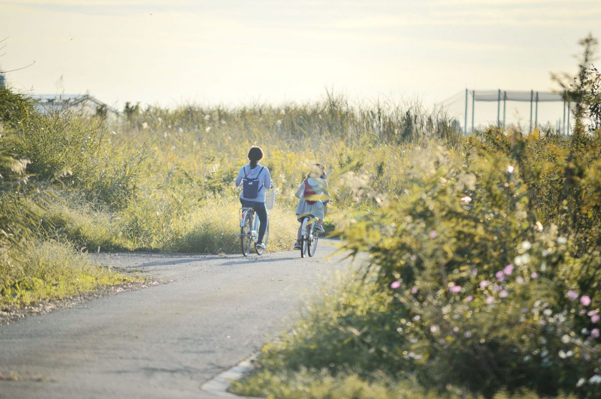 記憶の風景36 | GANREF