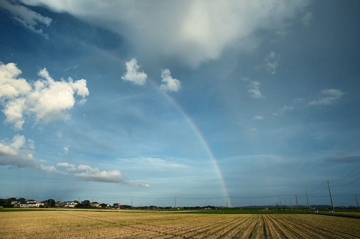 記憶の風景113 | GANREF