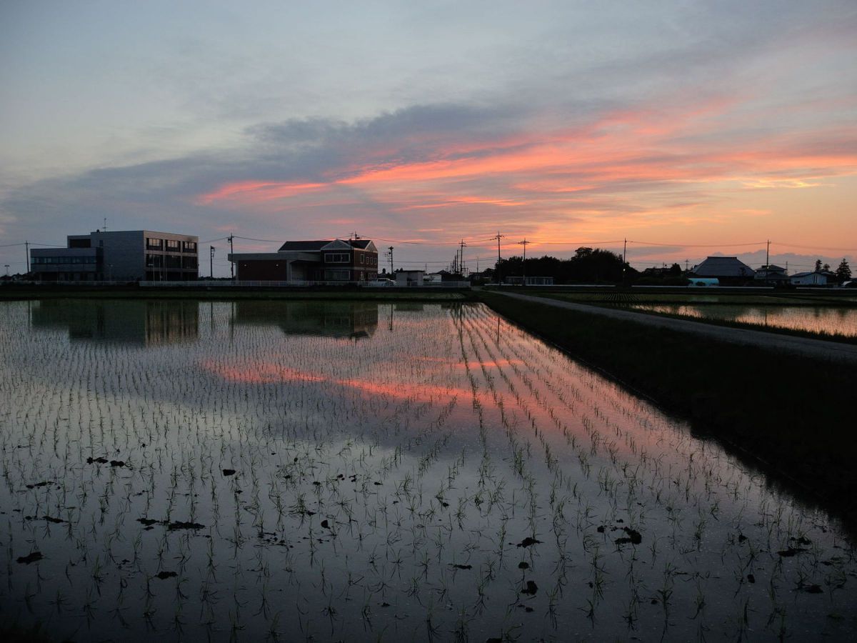 記憶の風景 (again) デジタル版2 | GANREF