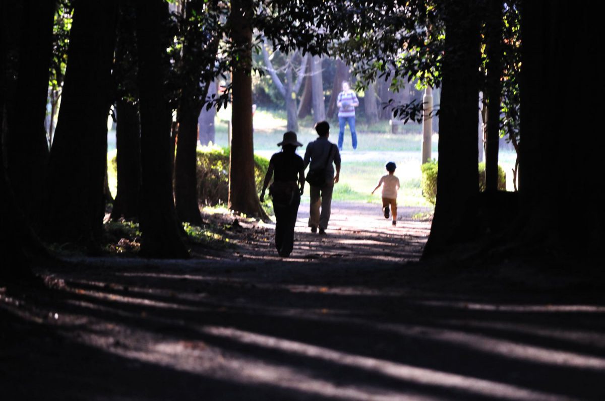 記憶の風景93 | GANREF