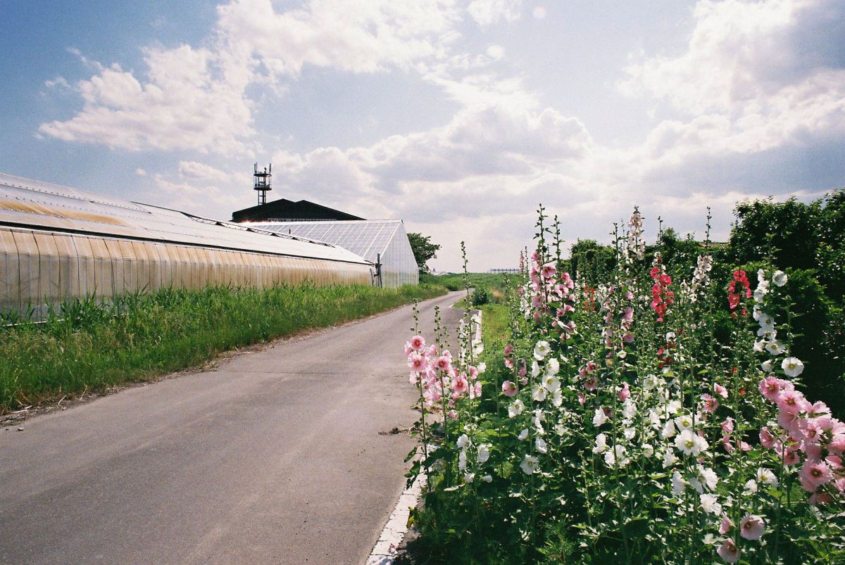 記憶の風景 (again) カラーネガフィルム版36 | GANREF