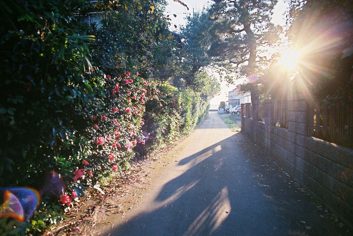 記憶の風景 (again) カラーネガフィルム版24 | GANREF