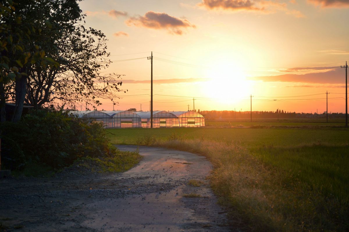 記憶の風景103 | GANREF