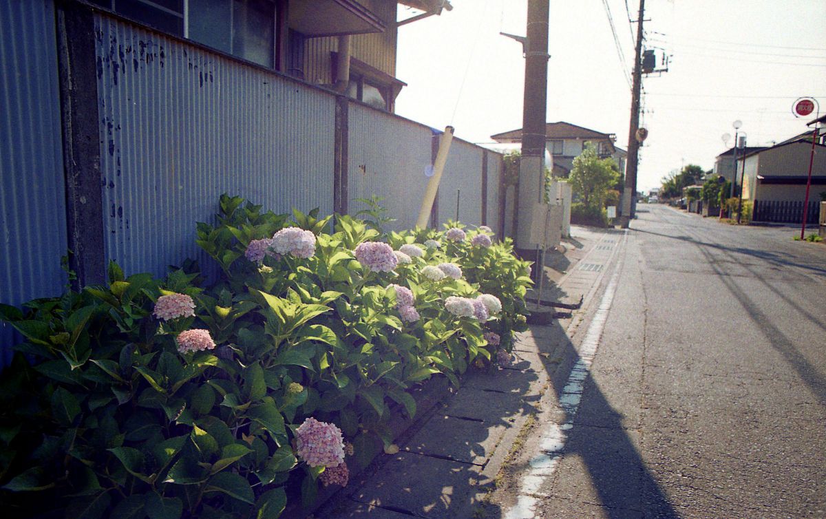 記憶の風景 カラーネガフィルム版158 | GANREF