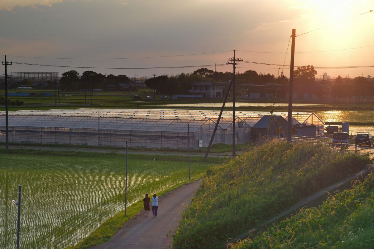 記憶の風景 (again) デジタル版28 | GANREF