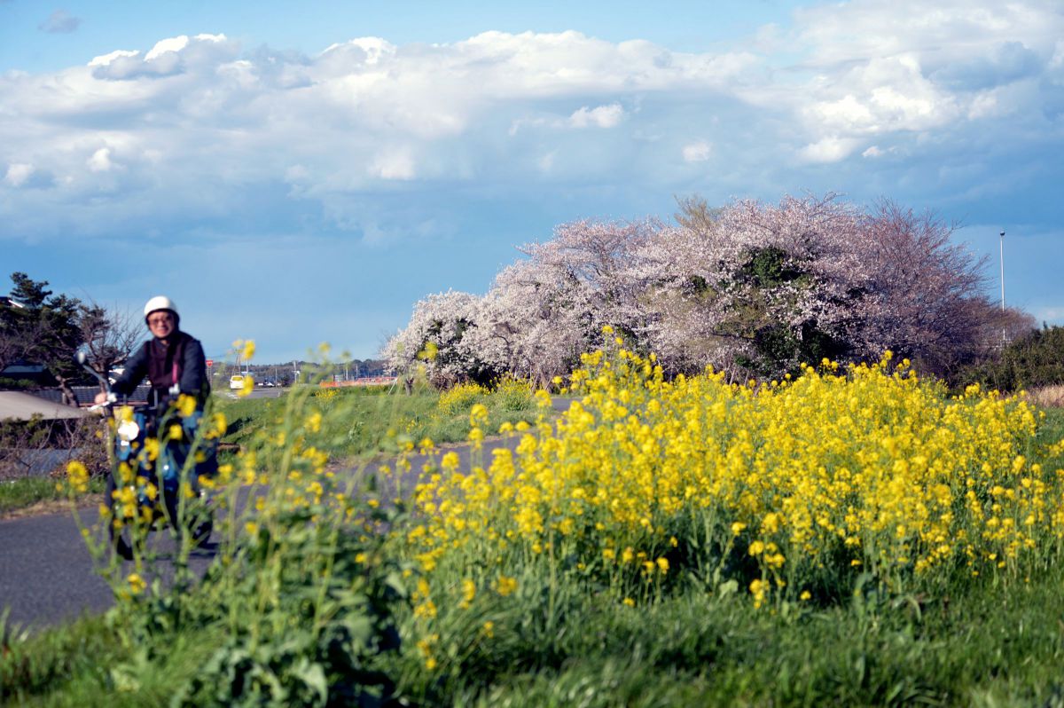 春うらら | GANREF