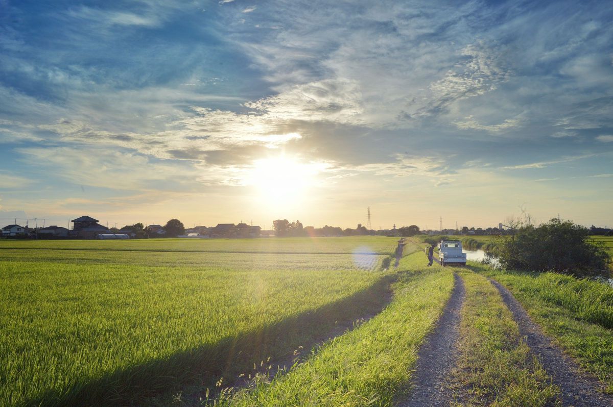 田園の風景（new)デジタル版2 | GANREF