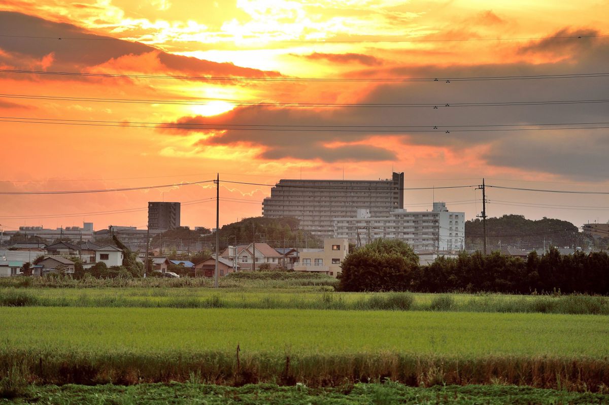 記憶の風景 (again) デジタル版23 | GANREF