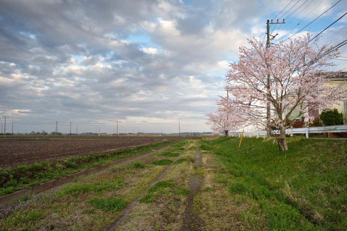 季節の風景86 | GANREF