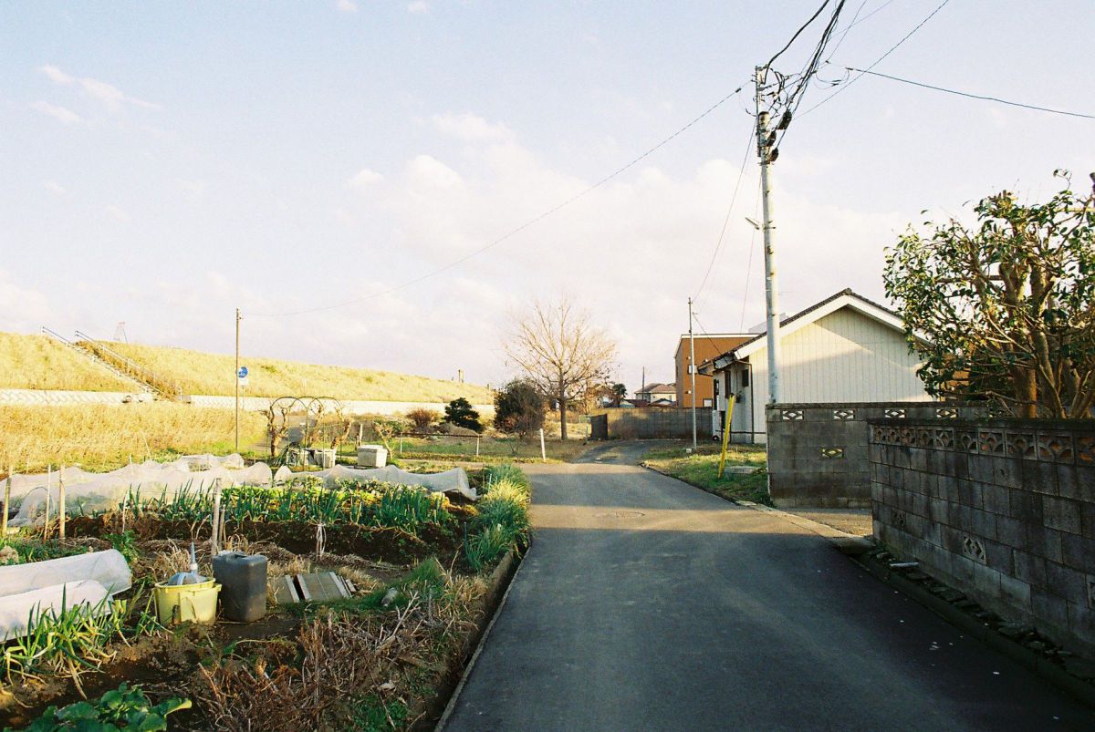 記憶の風景 カラーネガフィルム版213 | GANREF