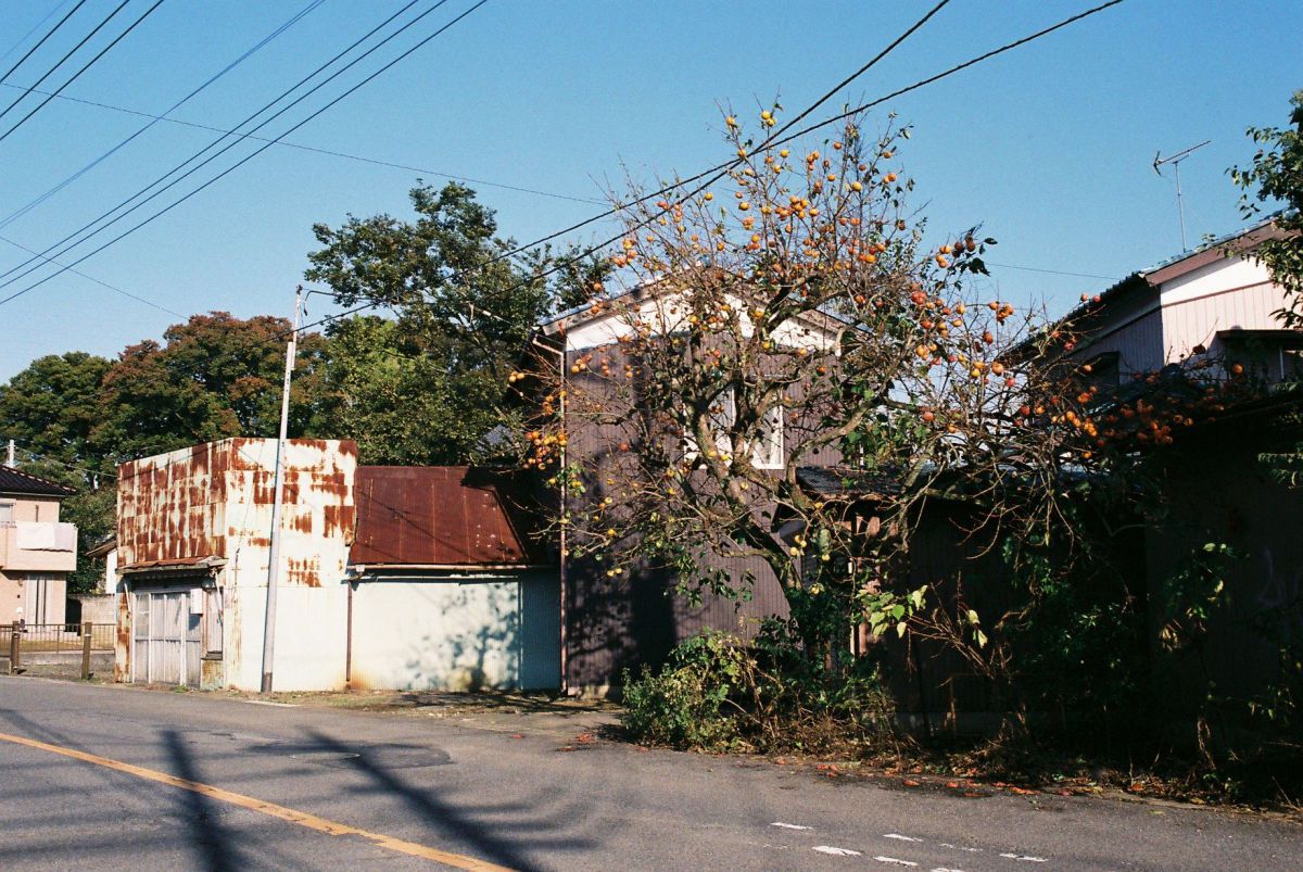 記憶の風景 カラーネガフィルム版216 | GANREF