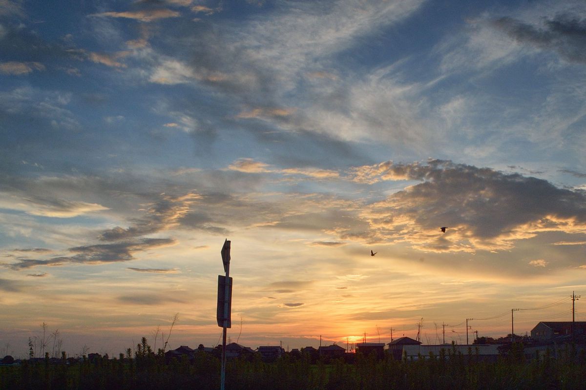 田園の風景（new)デジタル版6 | GANREF