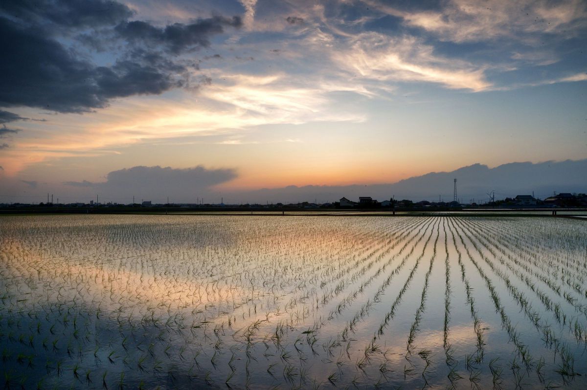 記憶の風景 (again) デジタル版11 | GANREF