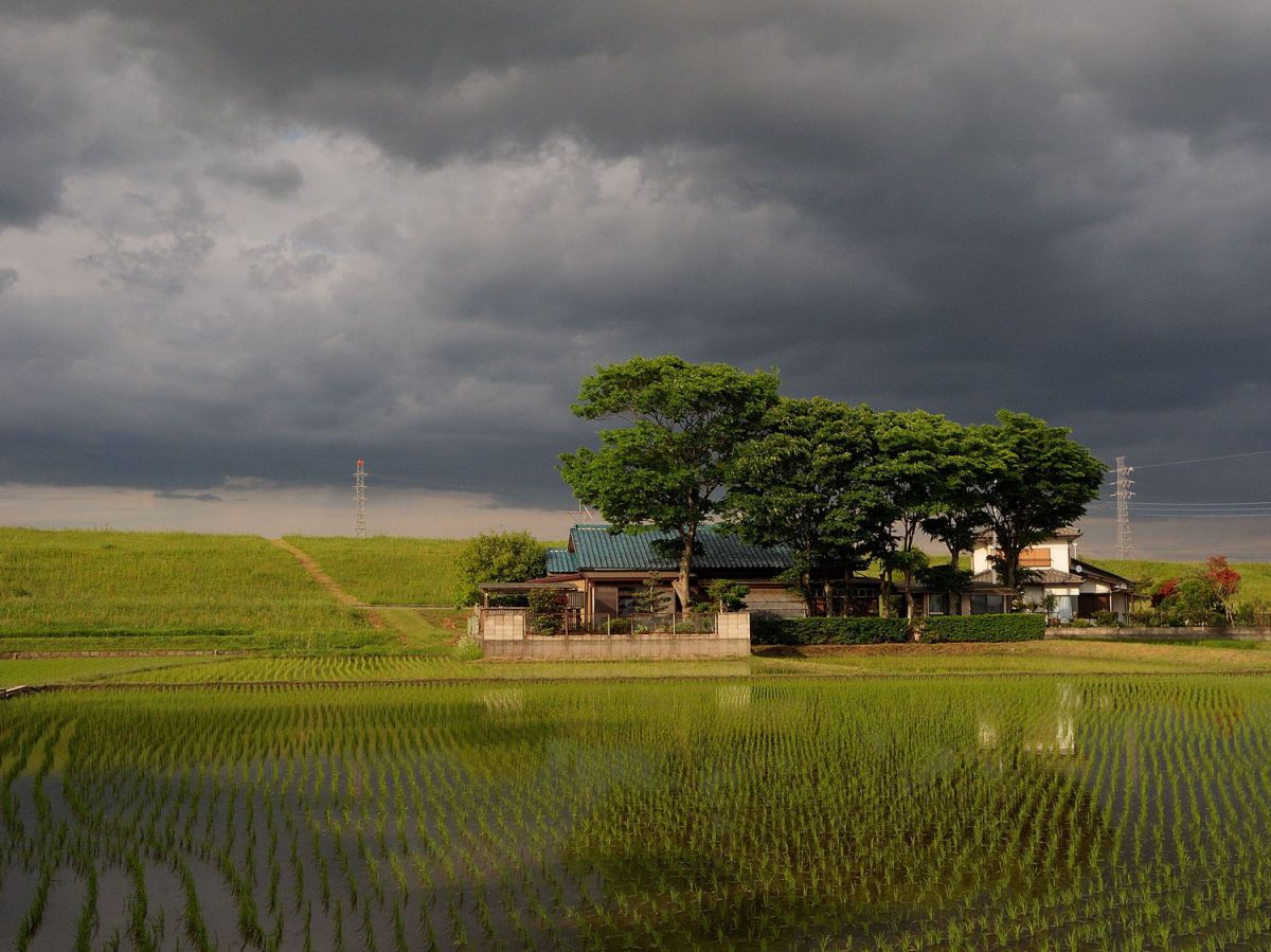 記憶の風景82 | GANREF