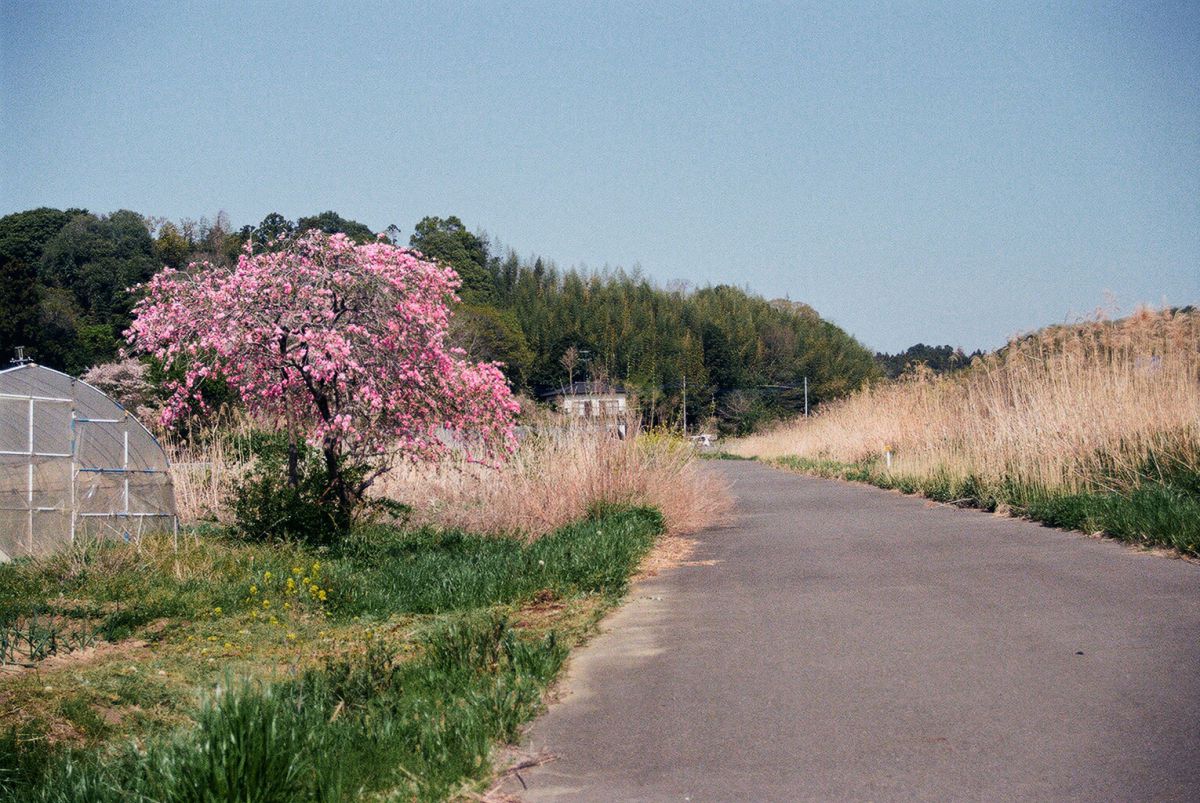 記憶の風景 (again) カラーネガフィルム版27 | GANREF