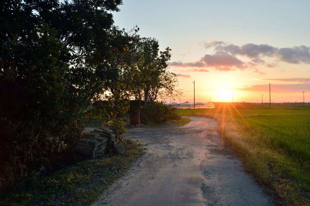 記憶の風景138 | GANREF