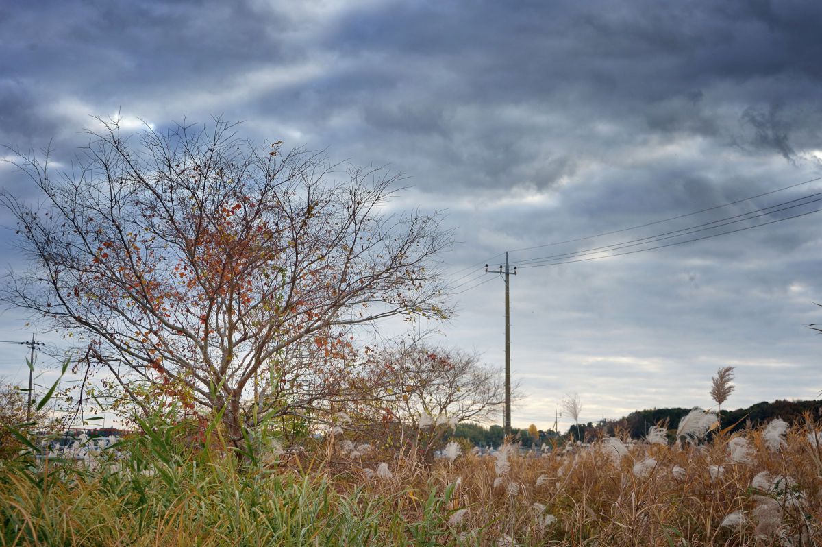 街の風景（new)デジタル版8 | GANREF