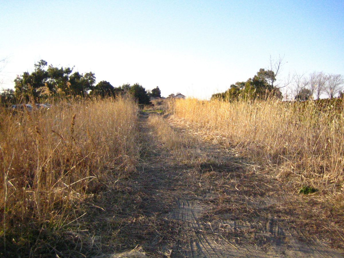 記憶の風景デジタル版169 | GANREF