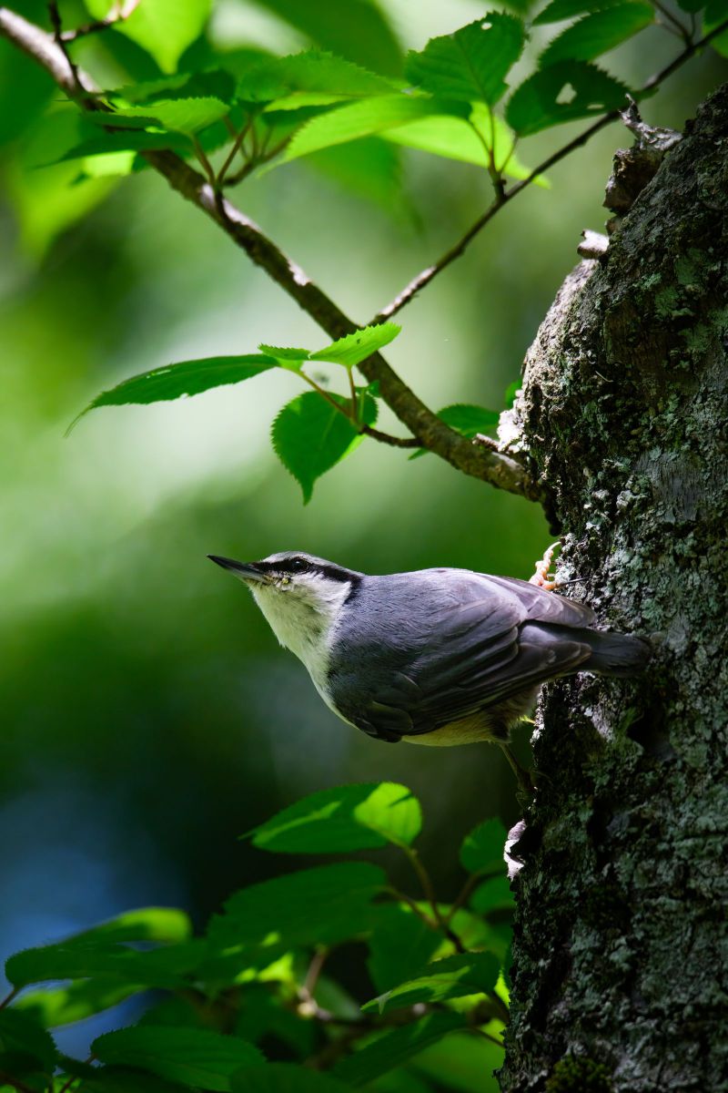 その視線の先には…… | GANREF
