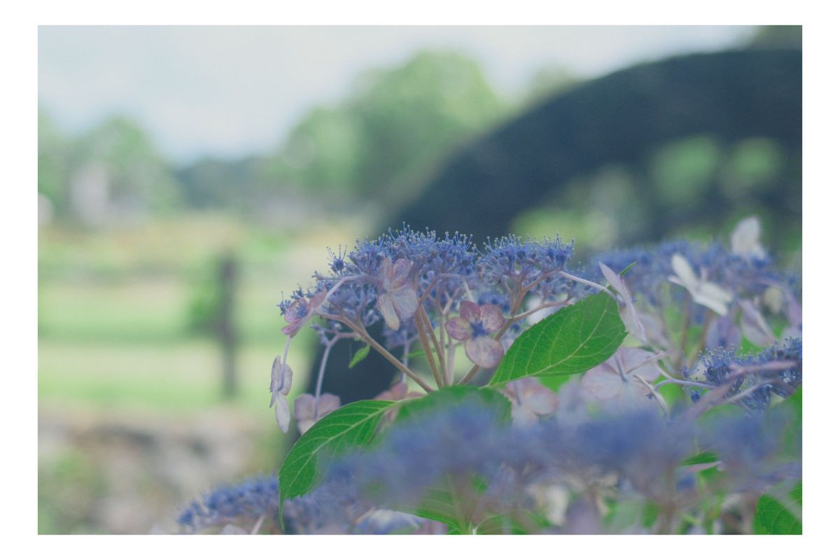 DSCF0524.jpg | GANREF