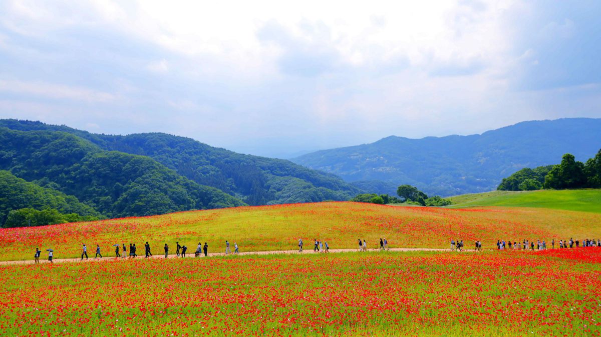 Time for each | GANREF