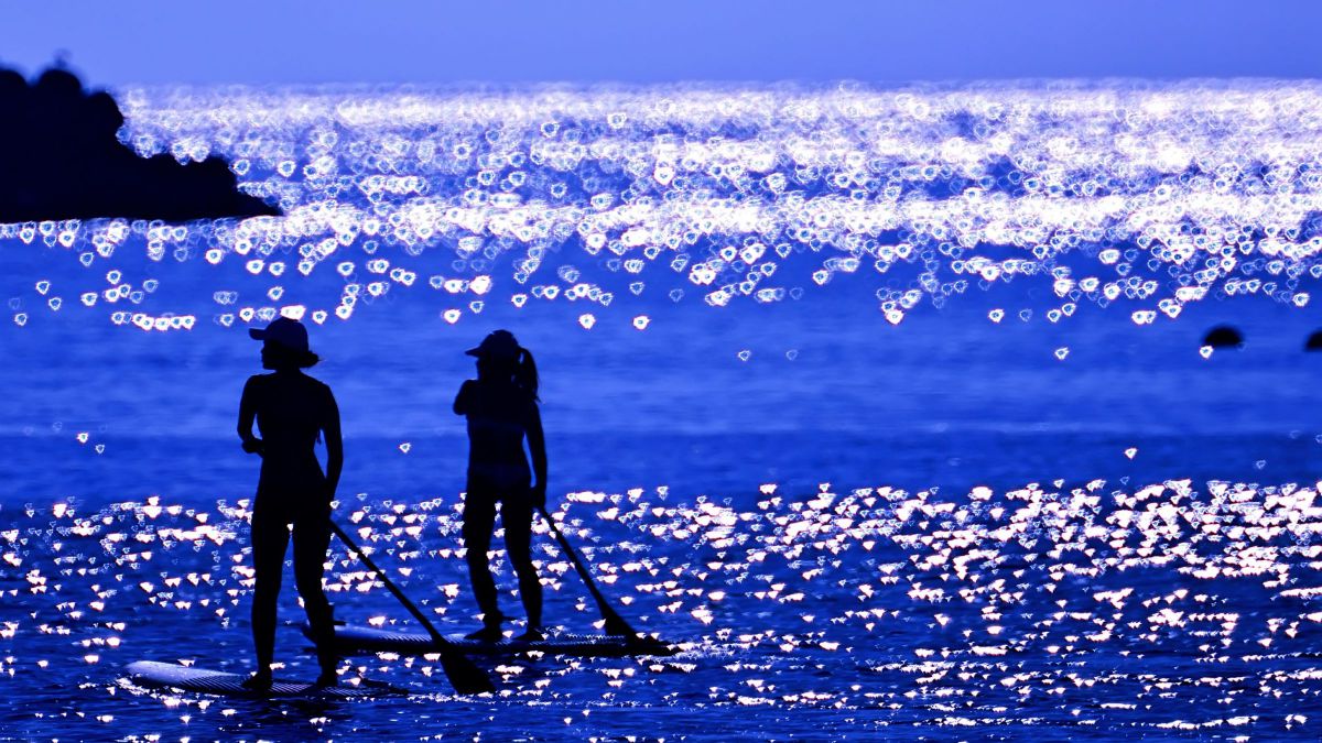 Good friend sister | GANREF