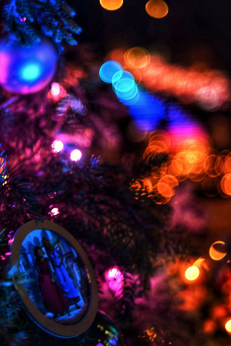 City of Holy Nights | GANREF