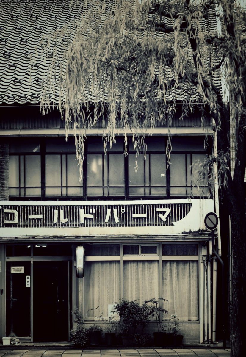 Retro Beauty Salon | GANREF