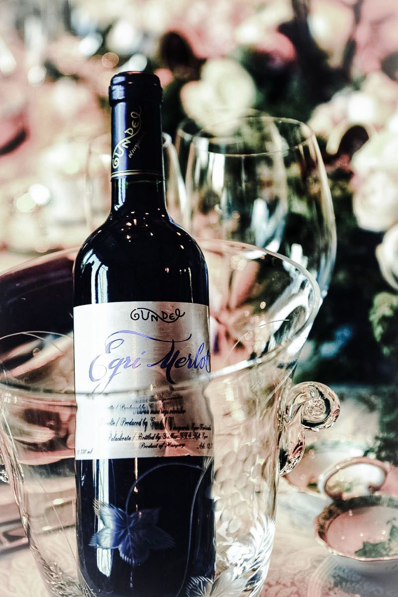 Start of the party | GANREF