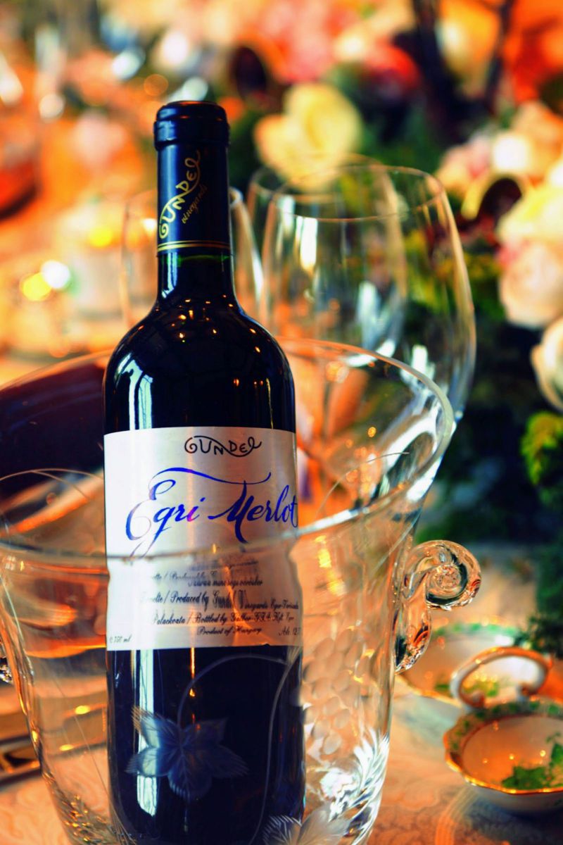 Party Night | GANREF