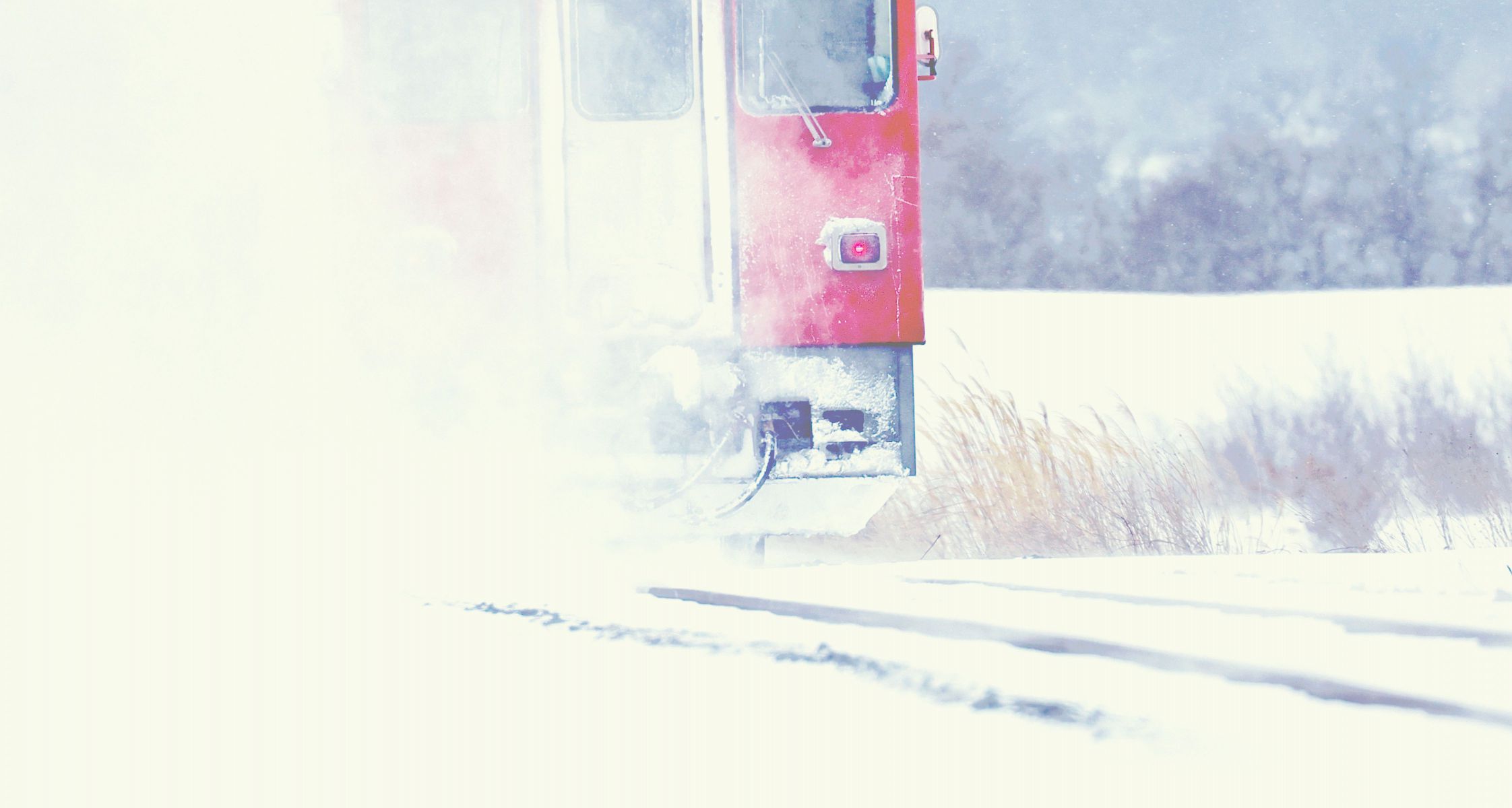 Lost in a cloud of snow | GANREF