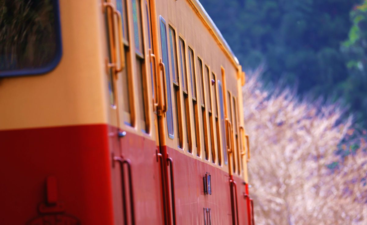 Rail travel to enjoy cherry blossoms | GANREF