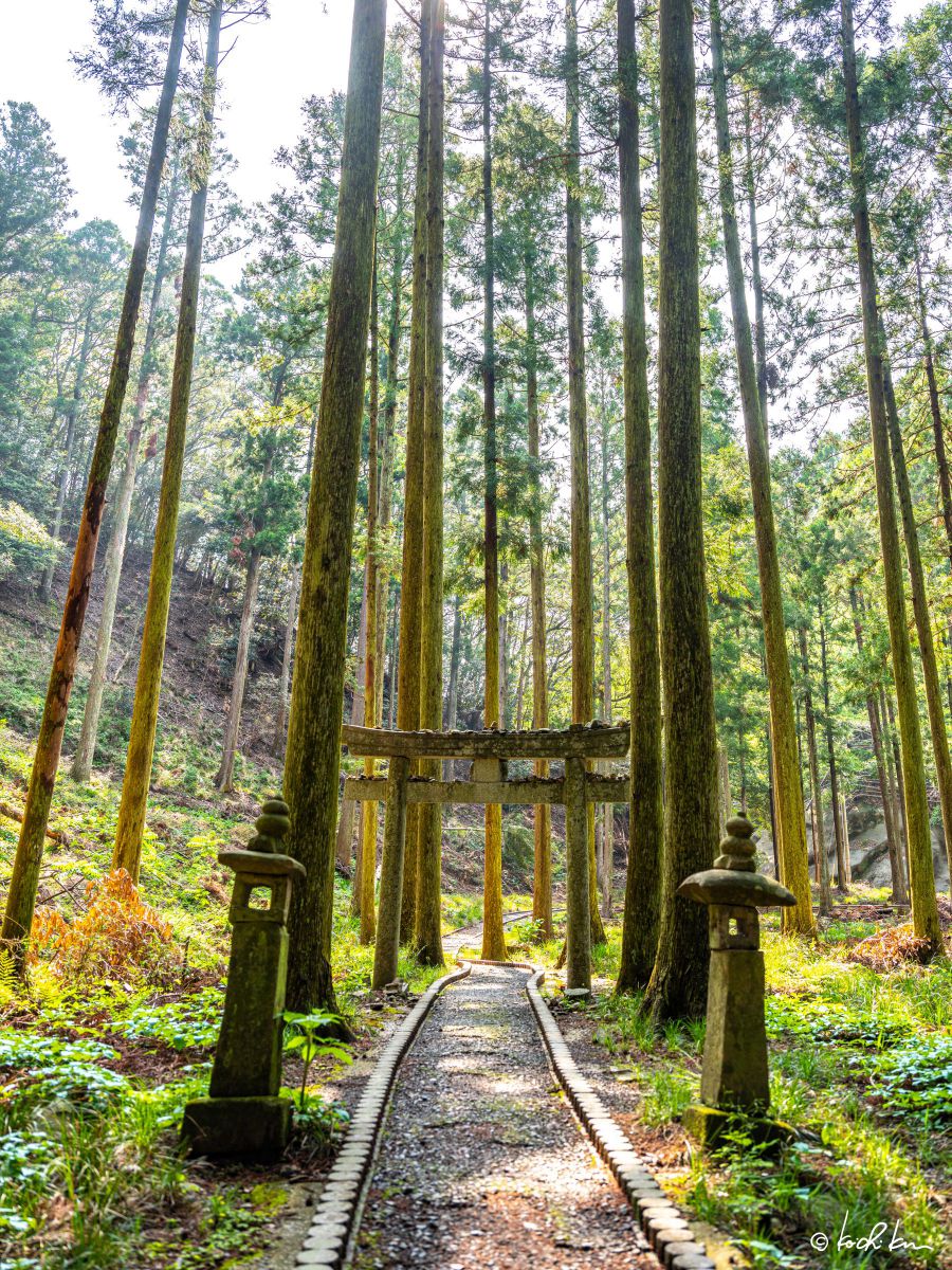 Forest gate | GANREF