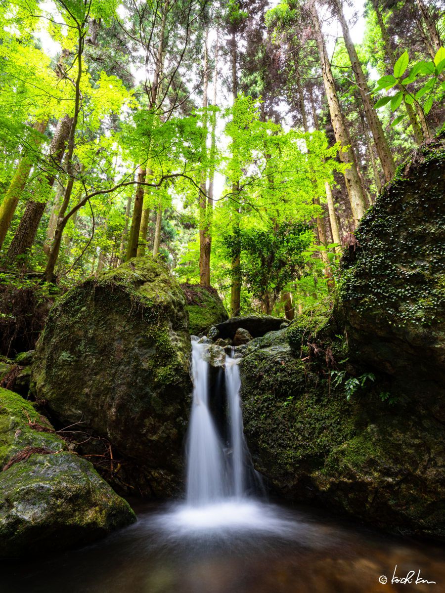 After the rain | GANREF